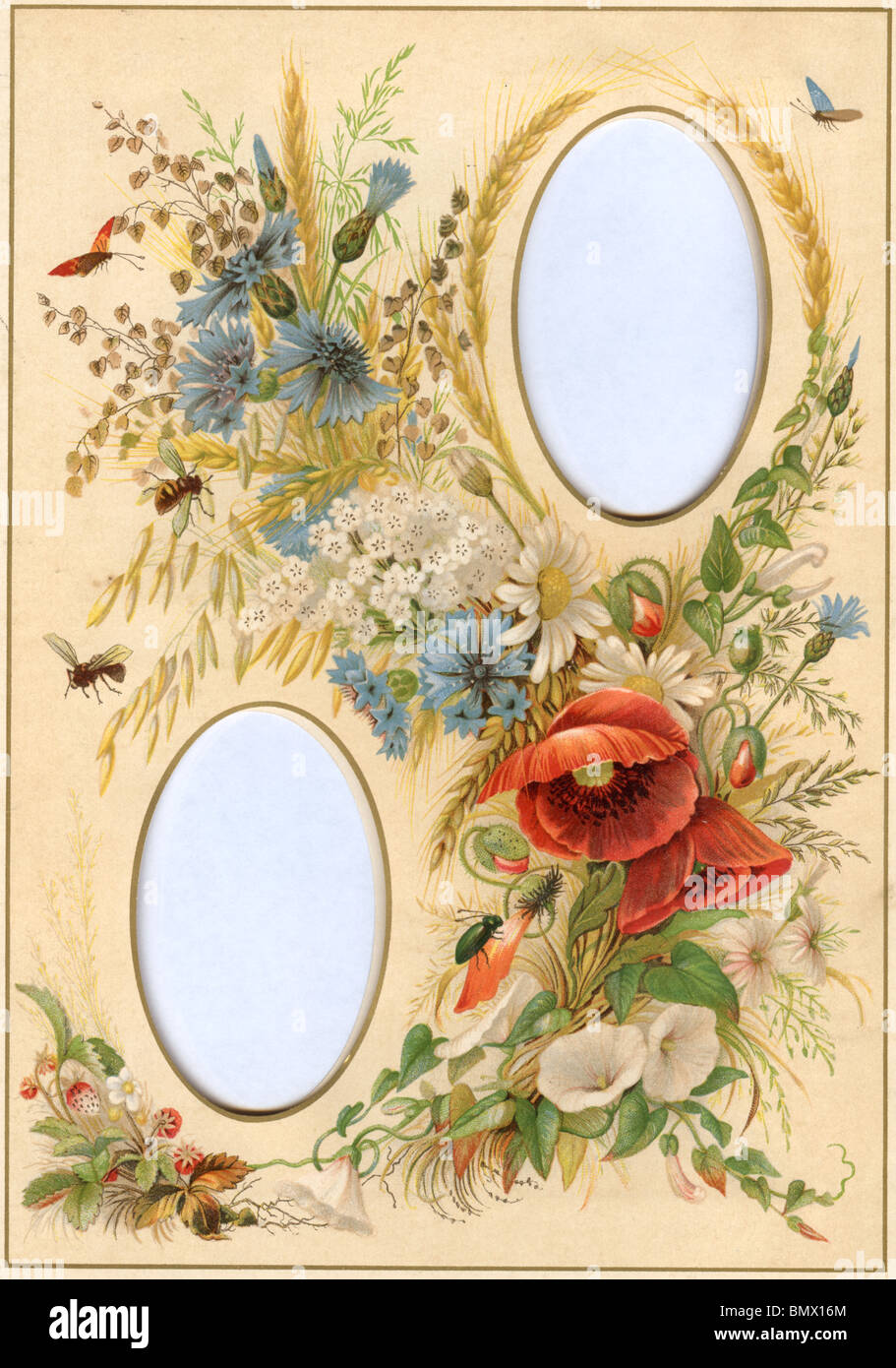 decorative Frame - Country Flowers Stock Photo - Alamy
