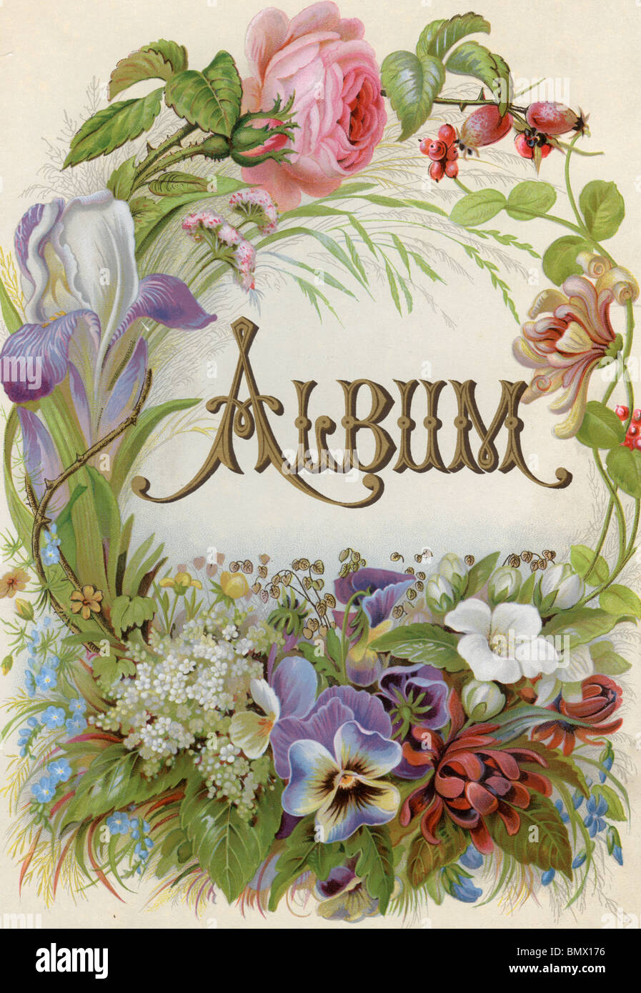 decorative Frame - Collection of Flowers Stock Photo - Alamy