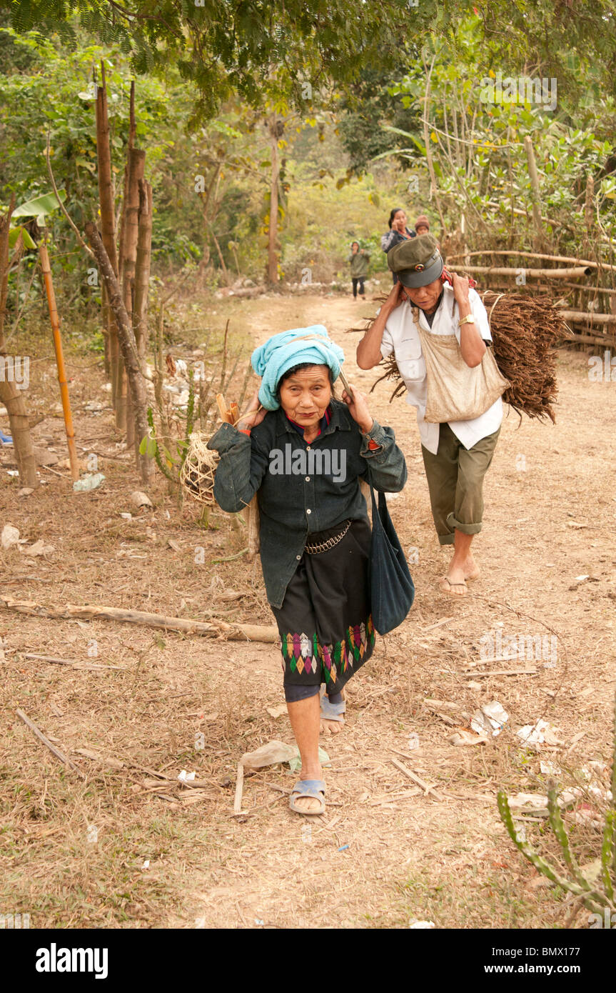 Villagers carry medicinal bark on their backs in Muang Ngoi Northern ...