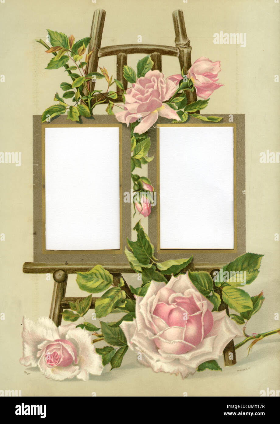 Decorative Frame - Pink Roses Stock Photo - Alamy