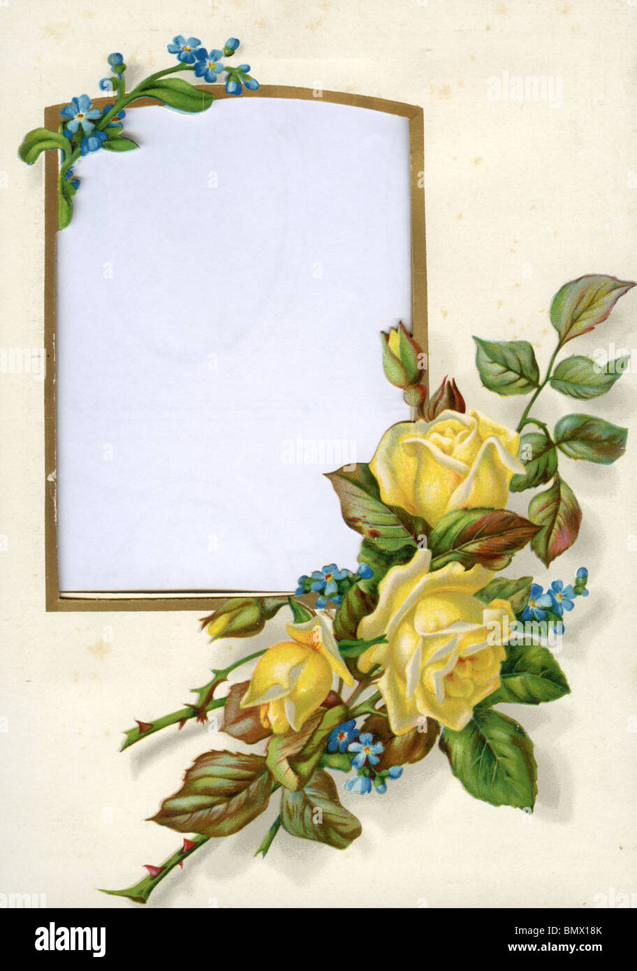 Decorative Frame - Yellow Roses and Forget-Me-Nots Stock Photo - Alamy