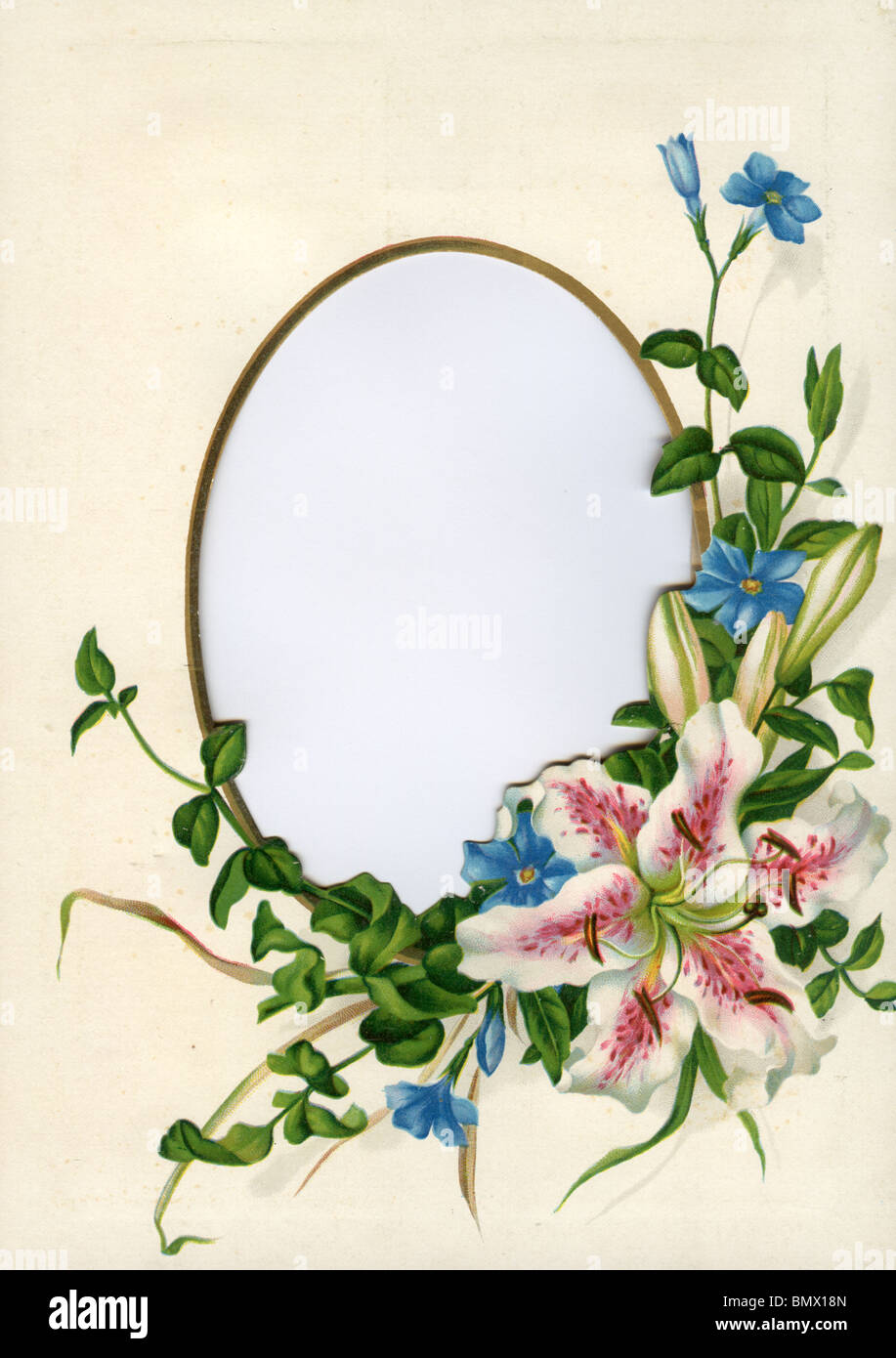 Decorative Frame - Lily Stock Photo - Alamy