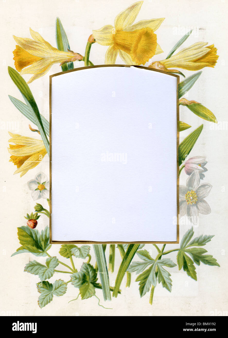 Decorative Frame - Daffodils Stock Photo - Alamy
