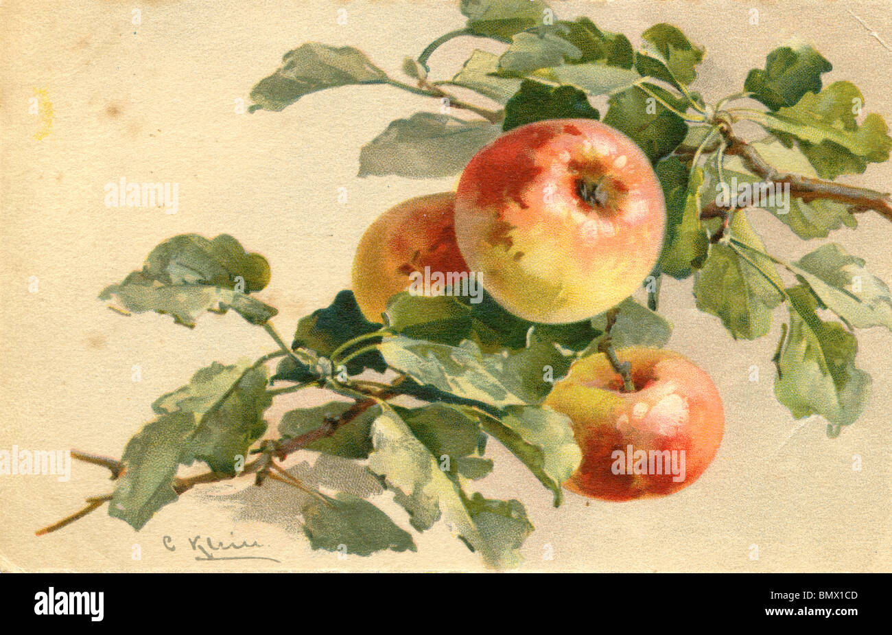Victorian apple tree illustration hi-res stock photography and images ...