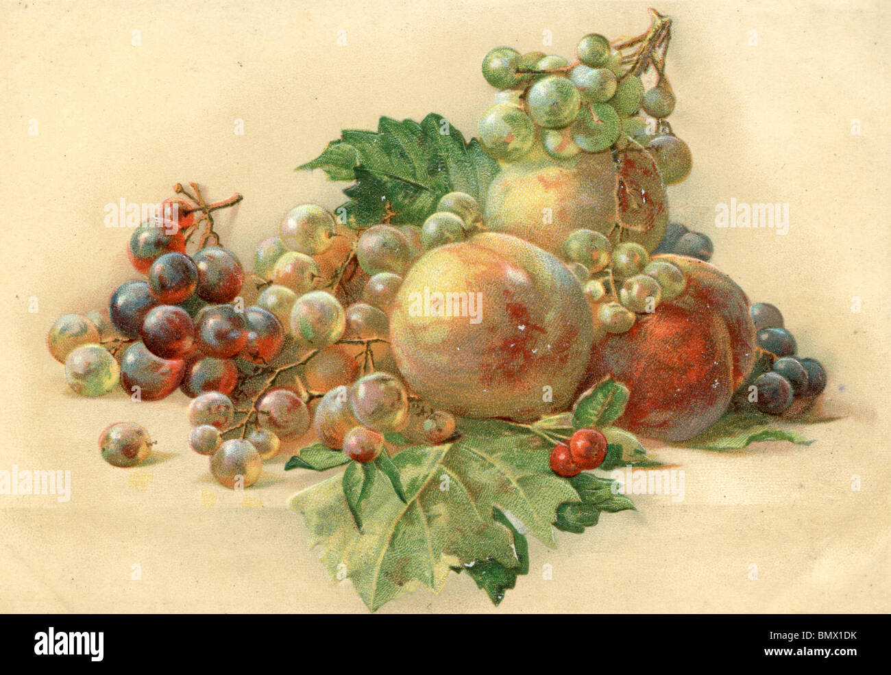 Victorian fruit hi-res stock photography and images - Alamy
