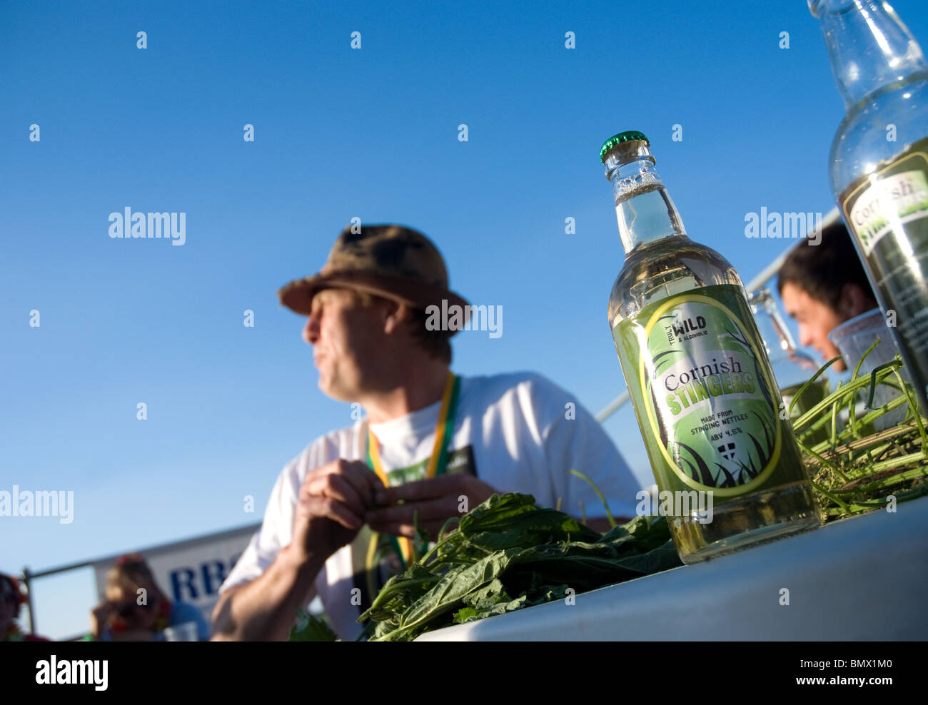 a bottle of Cornish stinger , beer made from stinging nettles Stock ...
