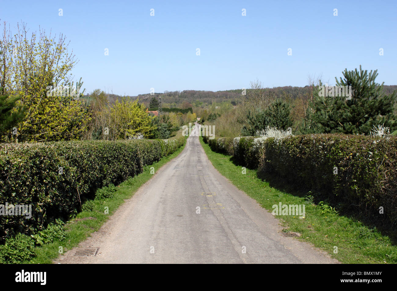 Berkshire spring hi-res stock photography and images - Alamy