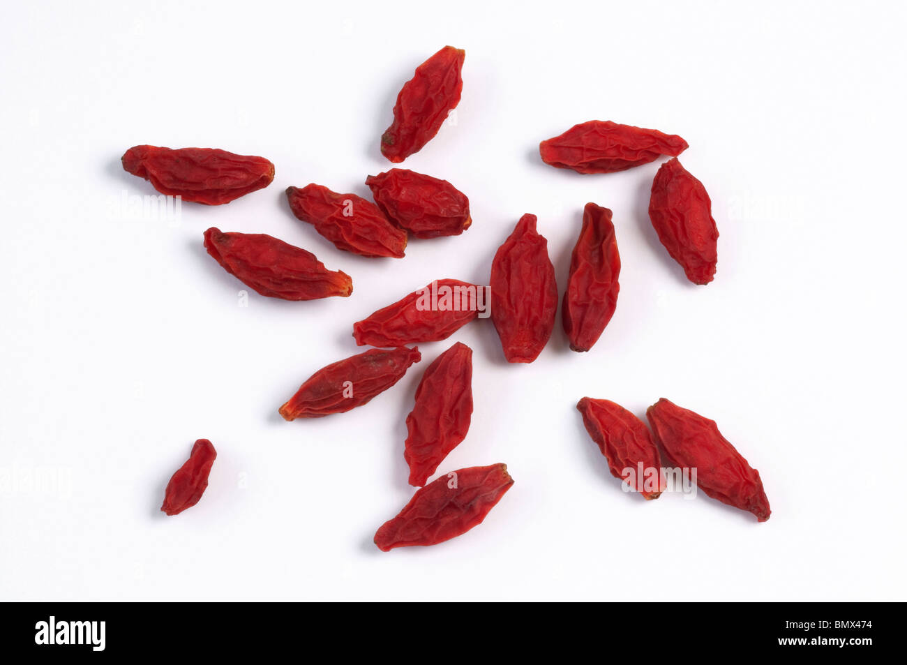 Boxthorn, Chinese Wolfberry (Lycium barbarum), dried fruit, studio ...