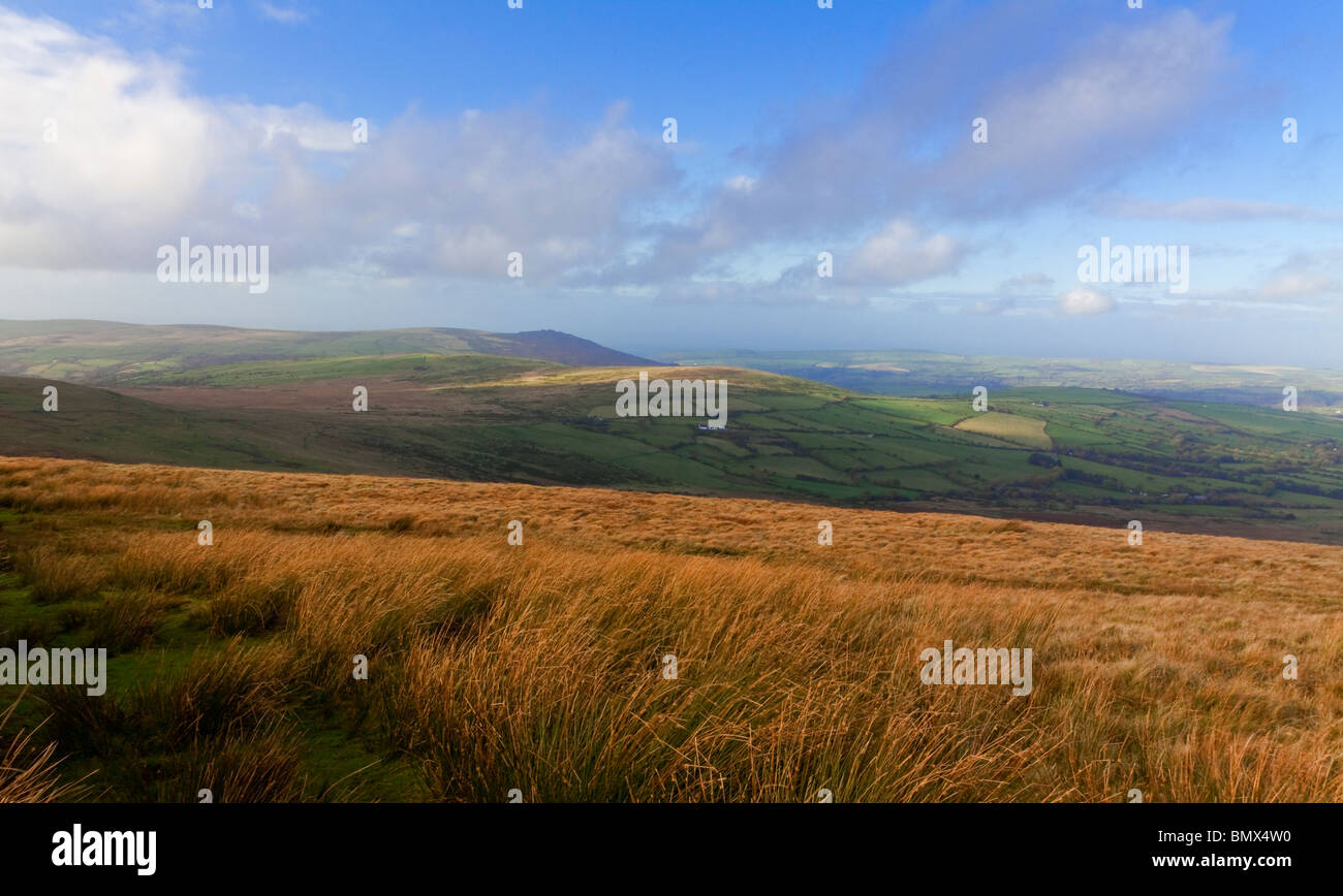 View over Foel Cwmcerwyn the highest point of the Preseli Hills in the ...