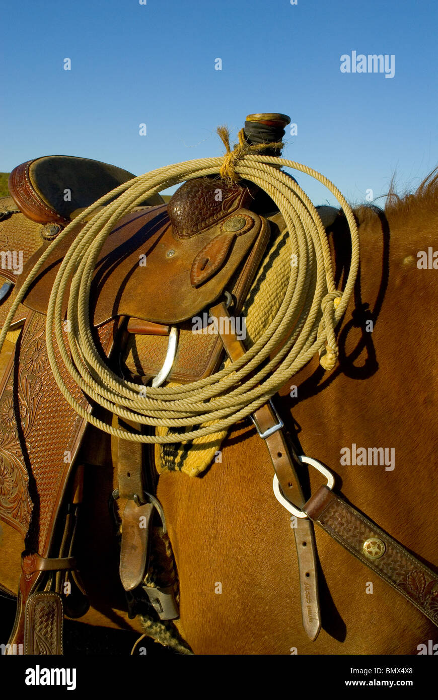 Cowboy saddle hi-res stock photography and images - Alamy