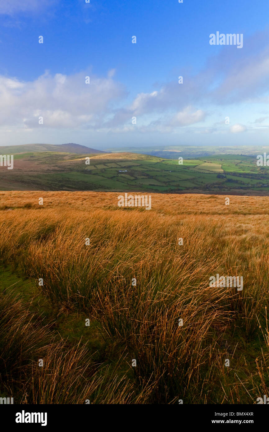 Preseli hills, pembrokeshire hi-res stock photography and images - Alamy