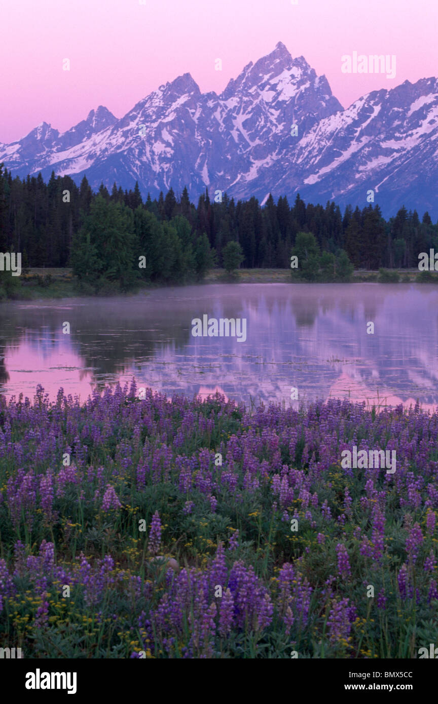 Grand Teton National Park Wy Pond Reflections And Teton Range With