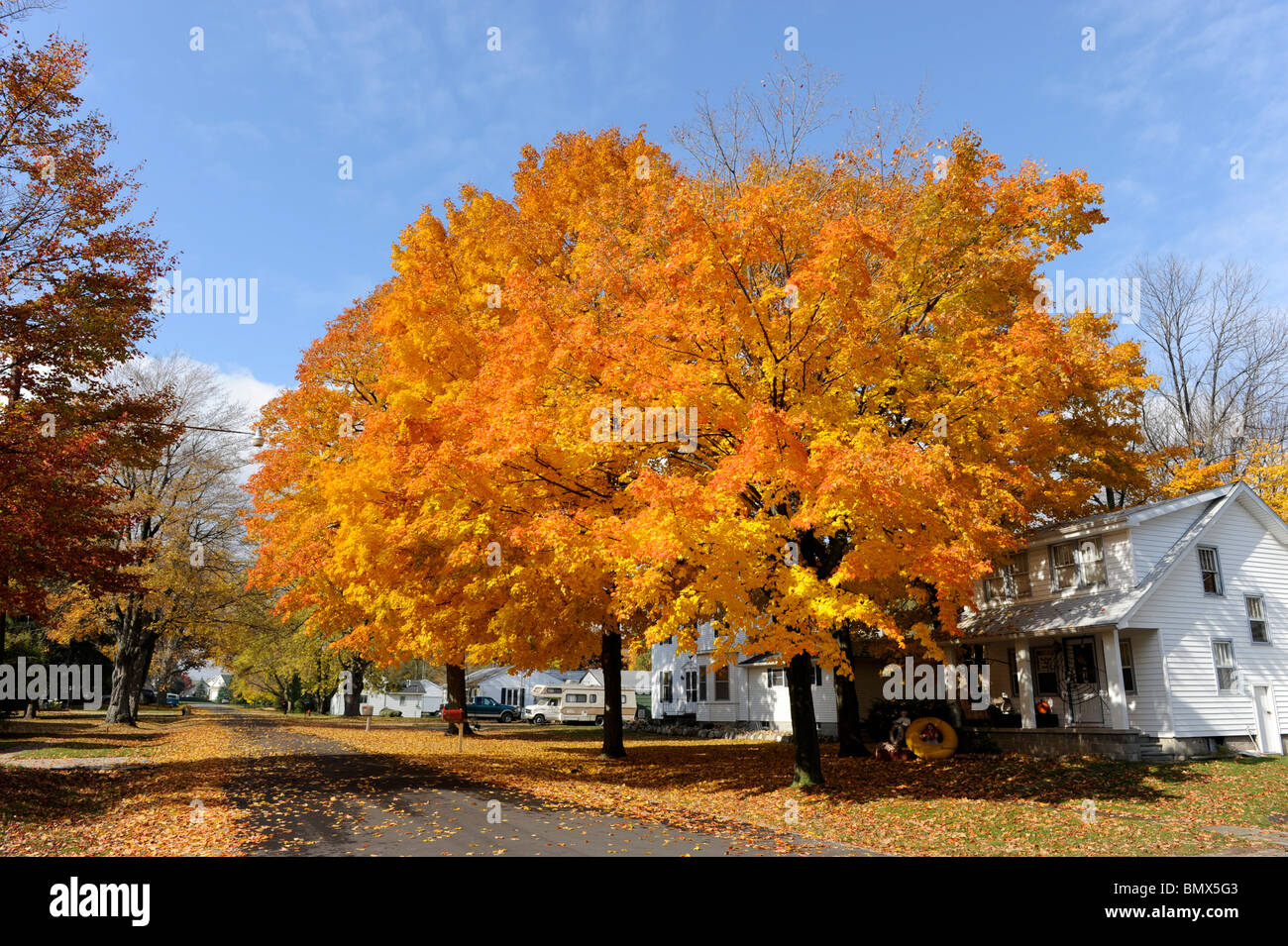 Fall Autumn colors line an old residential street in Lexington Michigan ...
