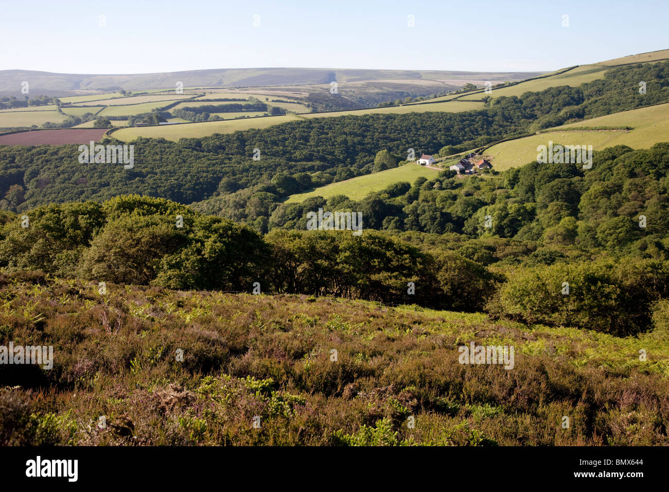 Small farmstead on Exmoor near Porlock Hill Exmoor Somerset UK Stock ...