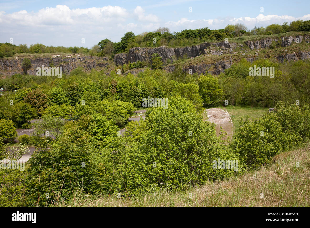 Disused and overgrown quarry in Buxton Country Park Buxton Derbyshire ...