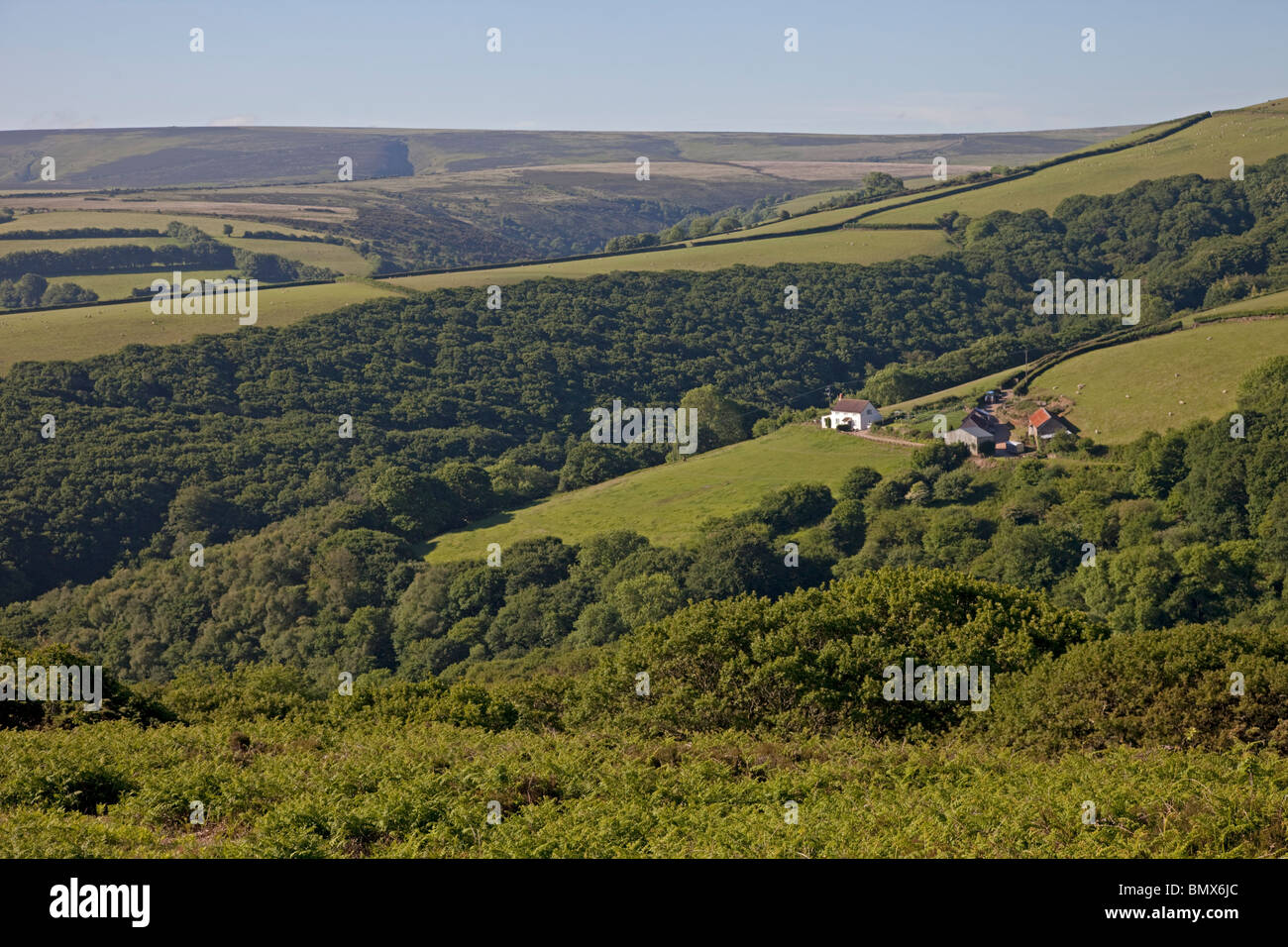 Small farmstead on Exmoor near Porlock Hill Exmoor Somerset UK Stock ...