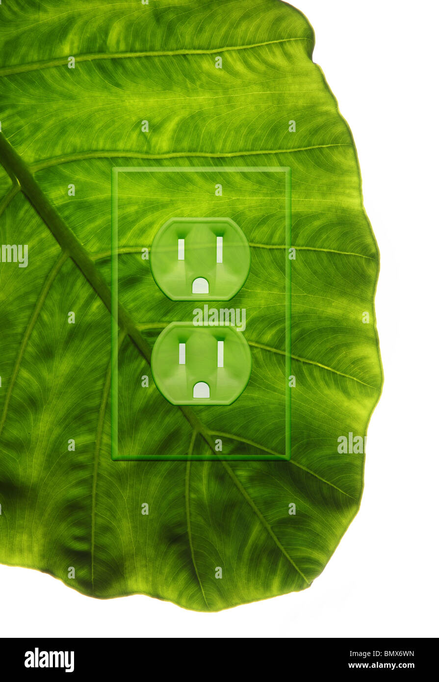 A green plant leaf with an electrical power outlet Stock Photo - Alamy