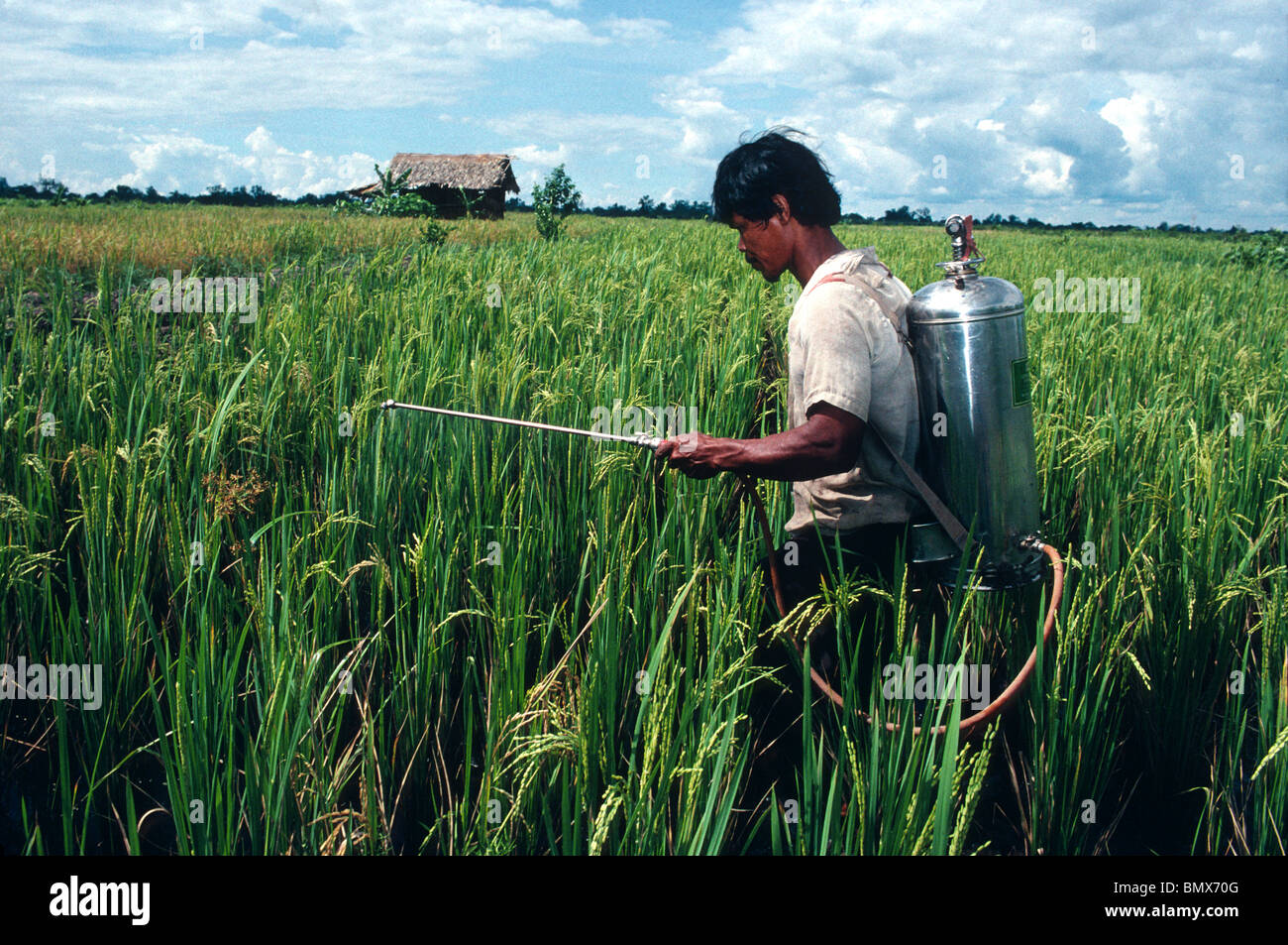 An Indonesian transmigrant, Sumatra Stock Photo - Alamy