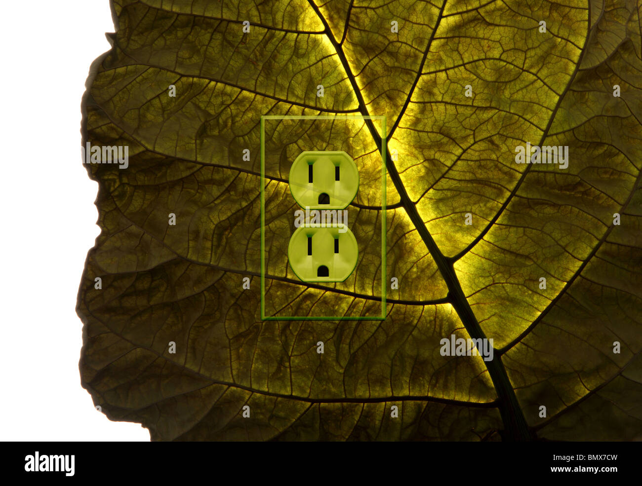 A green plant leaf with an electrical power outlet Stock Photo - Alamy