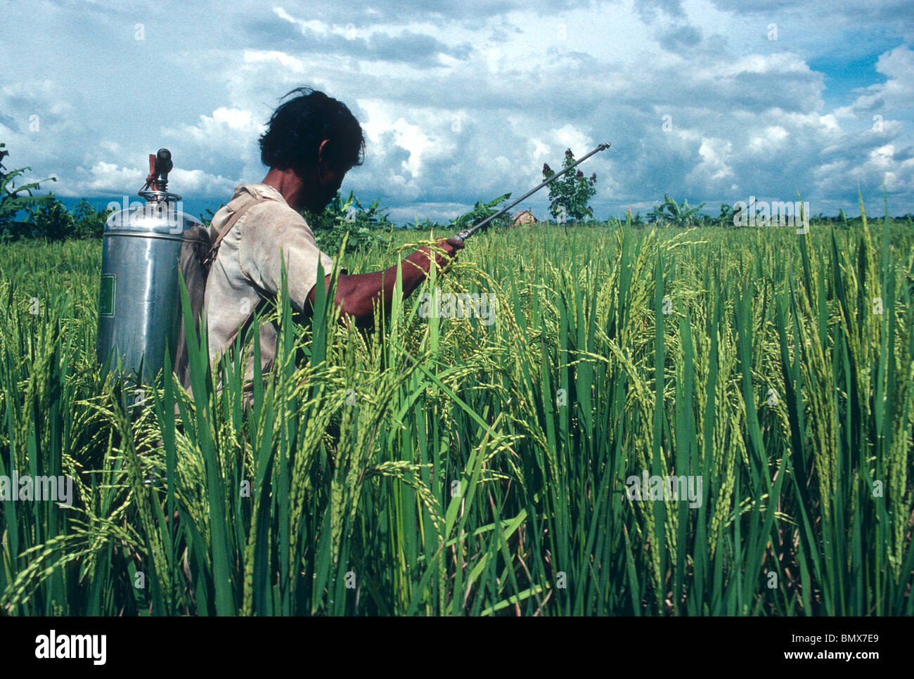 An Indonesian transmigrant Stock Photo - Alamy