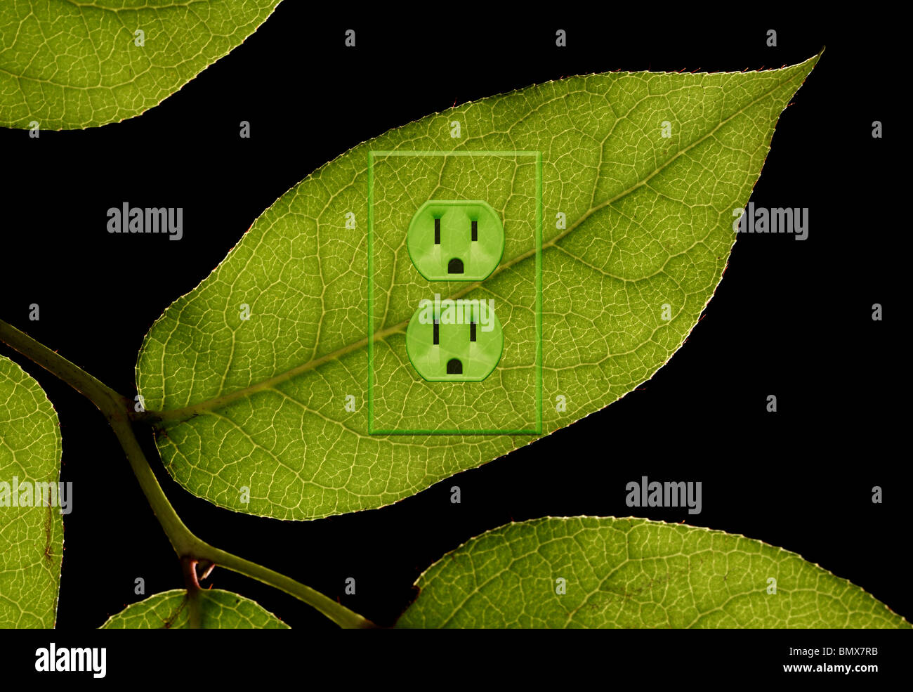 A green plant leaf with an electrical power outlet Stock Photo - Alamy