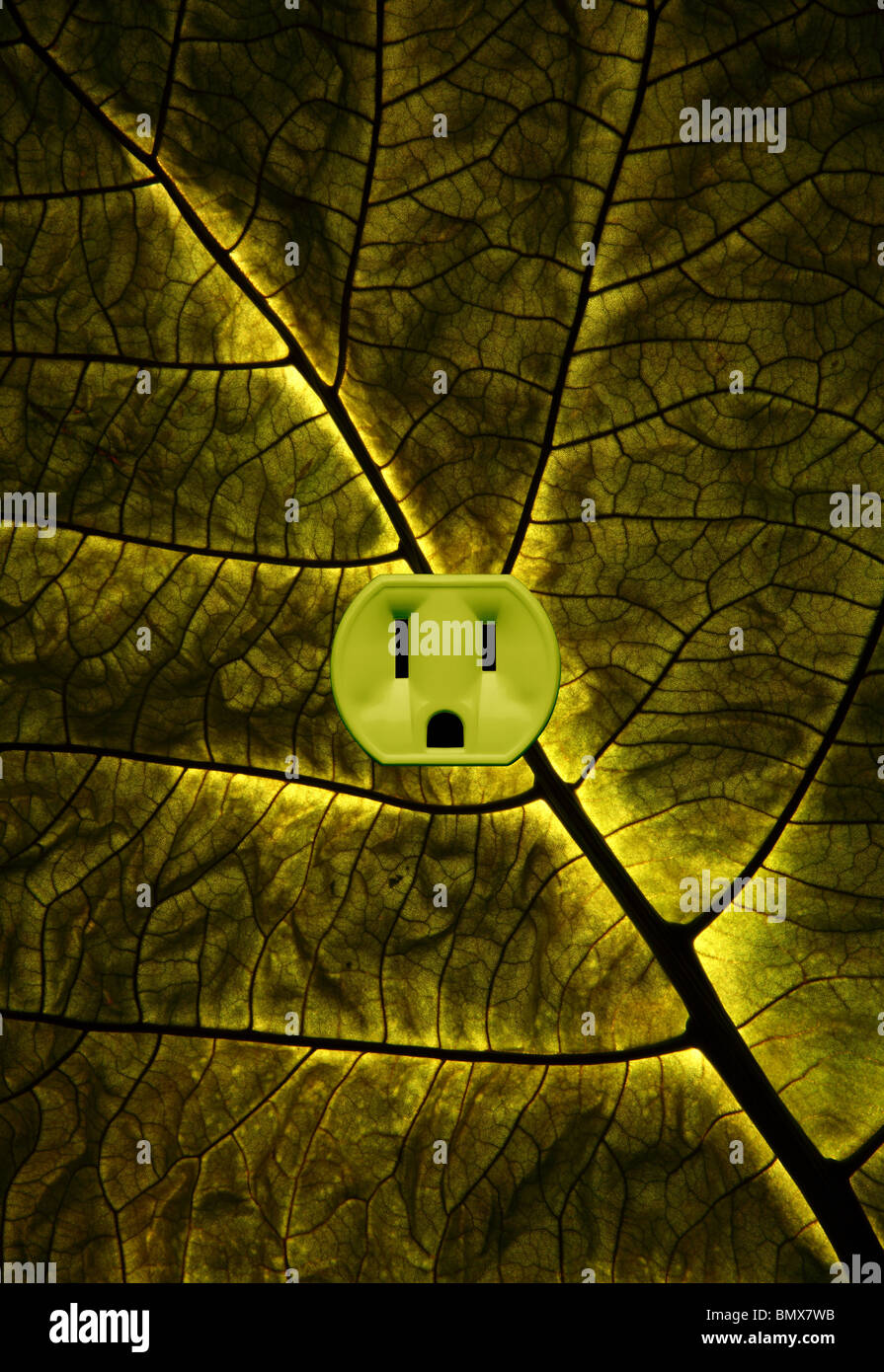 A green plant leaf with an electrical power outlet Stock Photo - Alamy