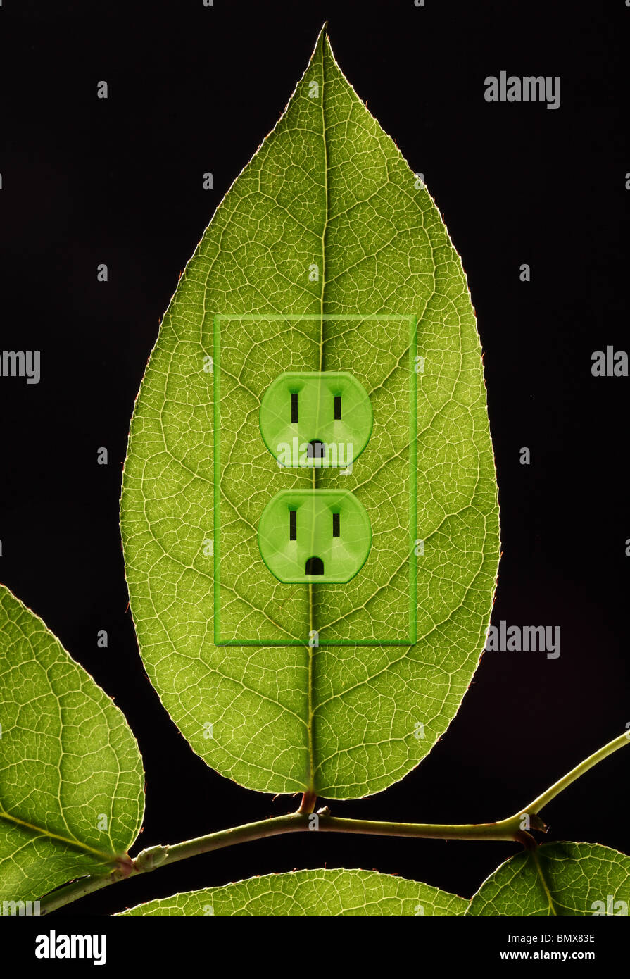 A green plant leaf with an electrical power outlet Stock Photo - Alamy