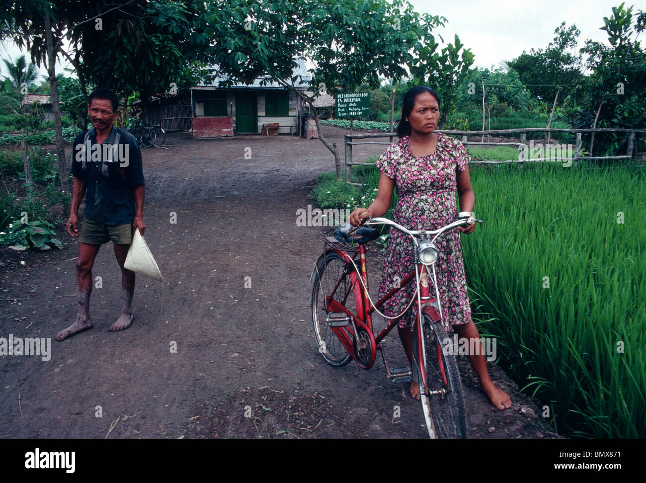 Indonesian transmigrants, Sumatra Stock Photo - Alamy