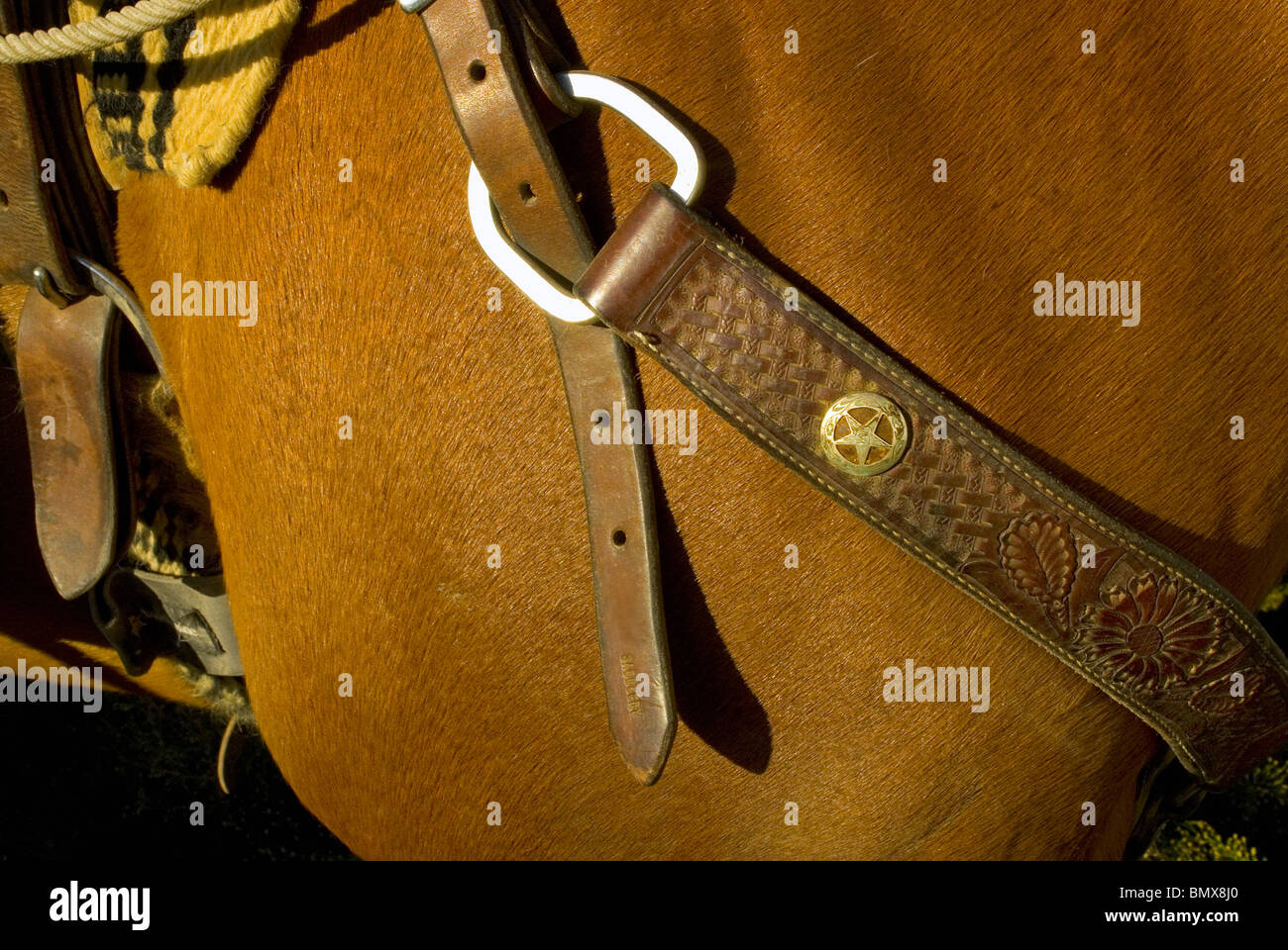 Detail of western saddle silver buckle Stock Photo - Alamy