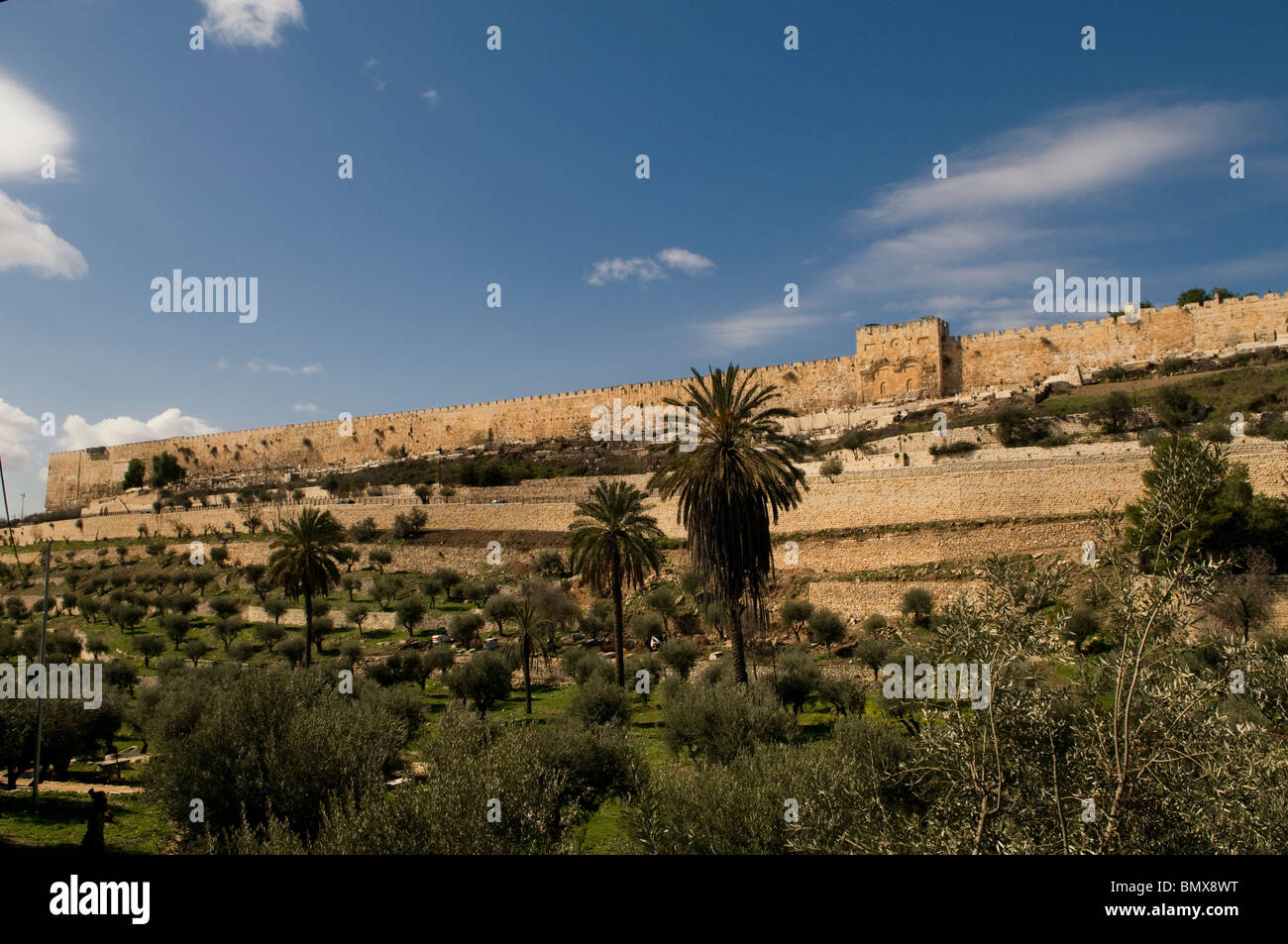 View across the Kidron Valley or Wadi an-Narthe of the Ottoman walls ...