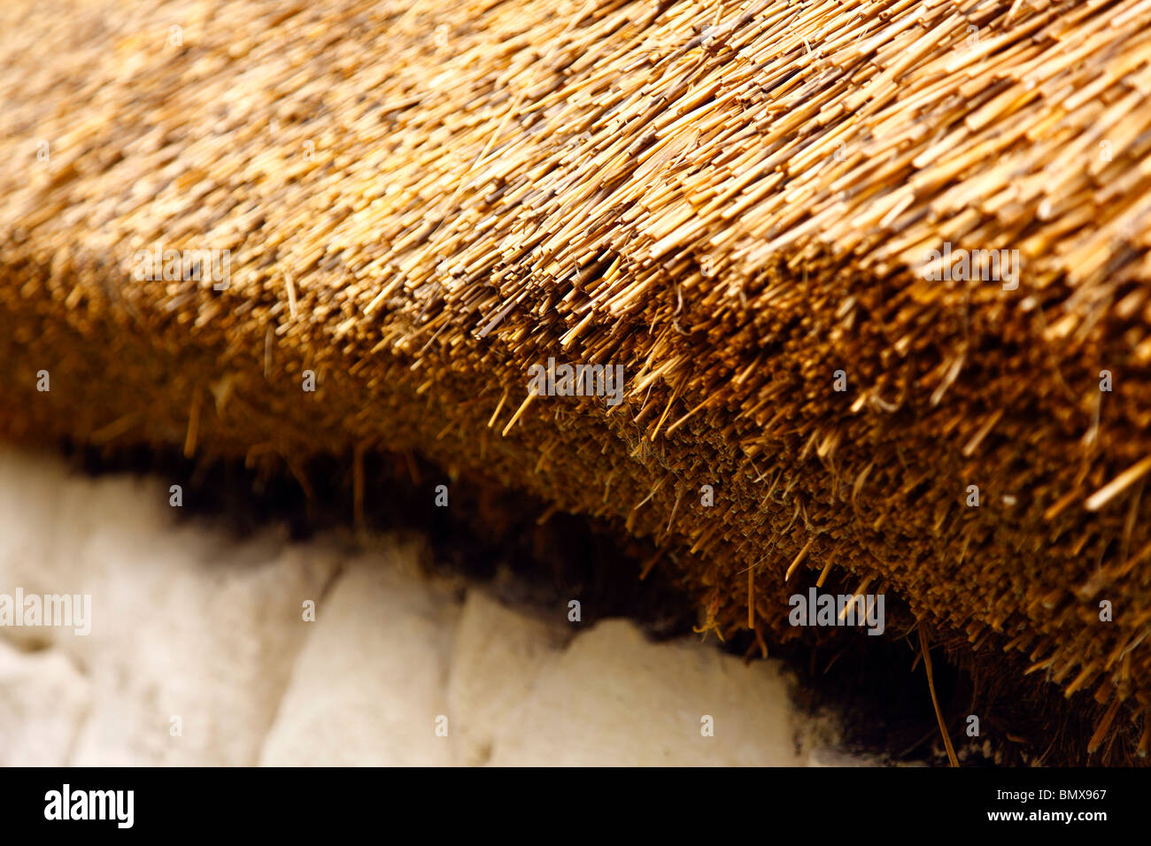 Eaves of a Thatched roof on a stone built cottage Stock Photo - Alamy