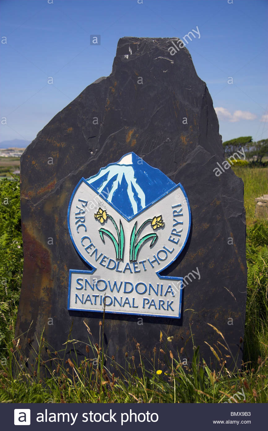 Welsh National Emblem High Resolution Stock Photography and Images - Alamy
