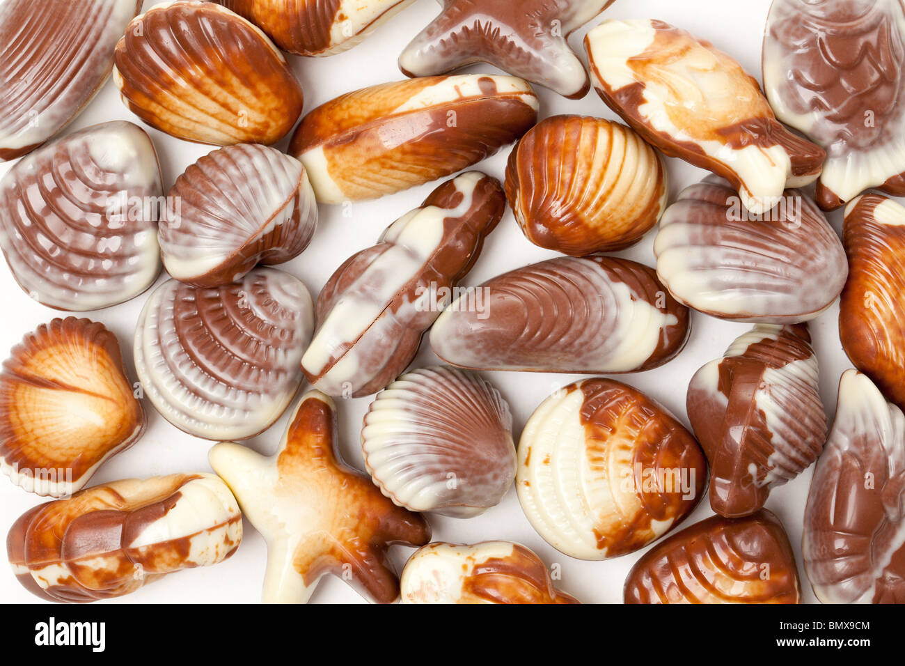 chocolate seashells on white background Stock Photo - Alamy
