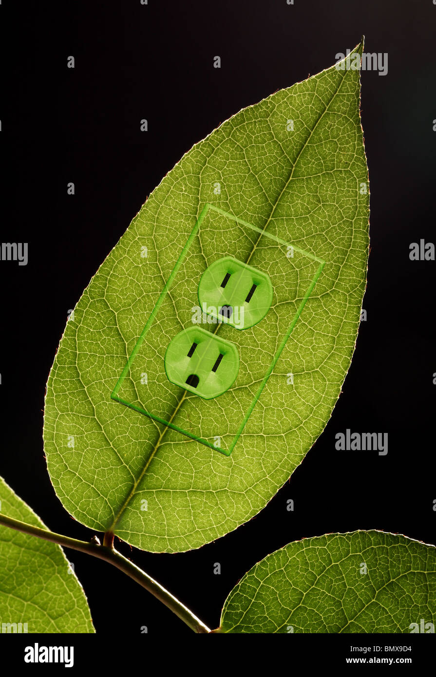 A green plant leaf with an electrical power outlet Stock Photo - Alamy