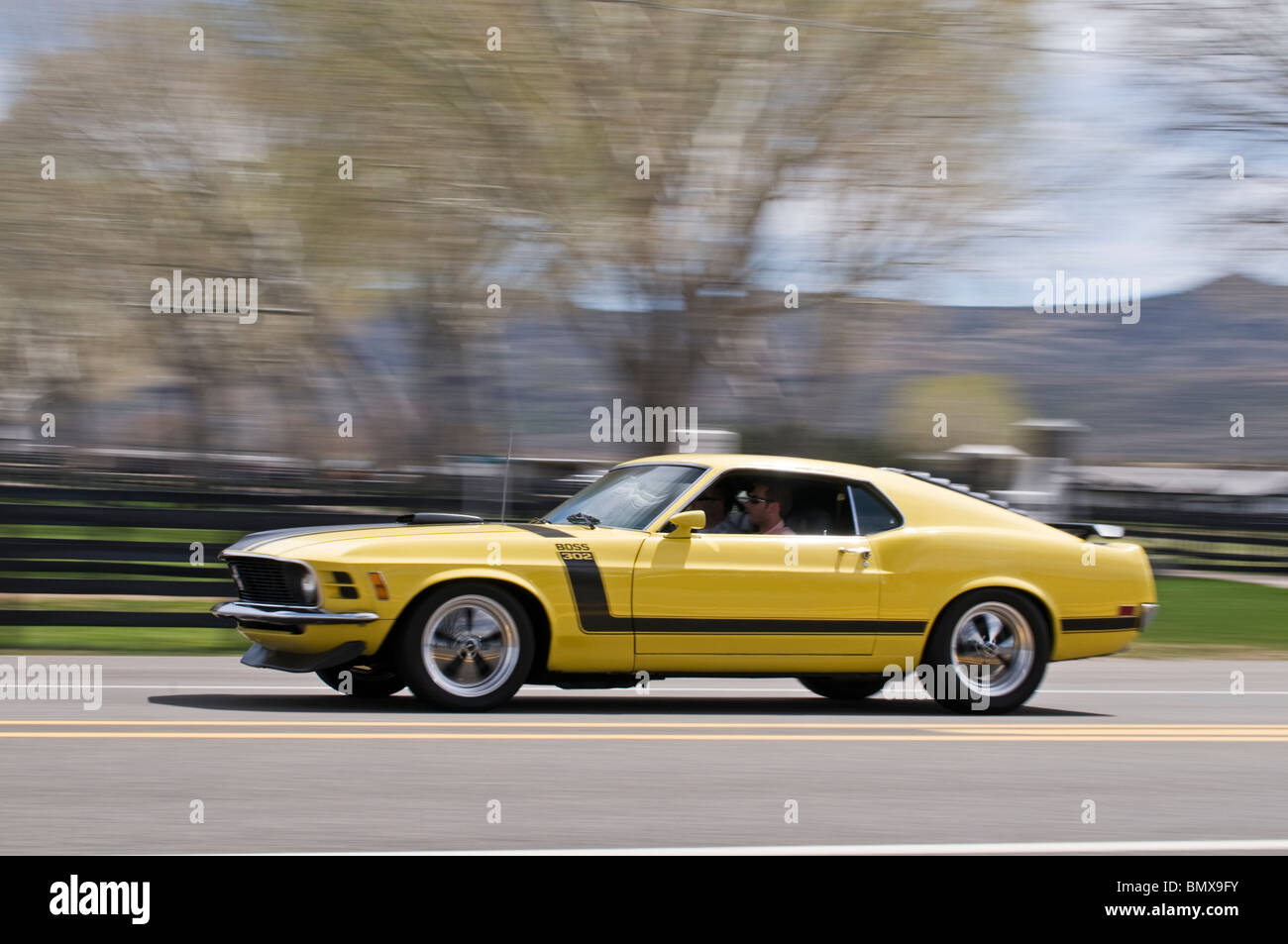 Ford mustang boss 302 hi-res stock photography and images - Alamy