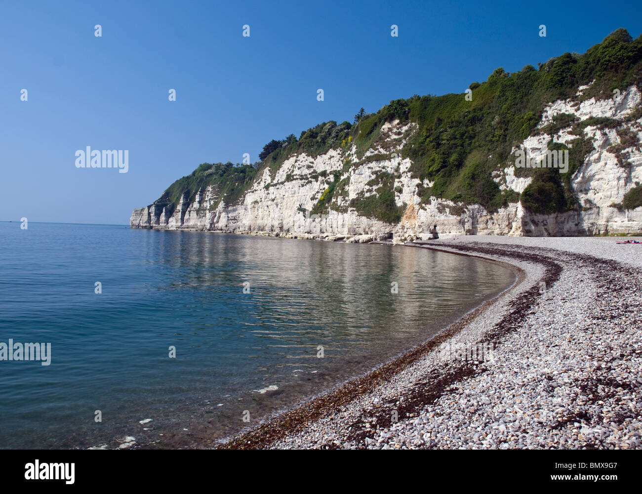white cliffs at beer devon Stock Photo - Alamy