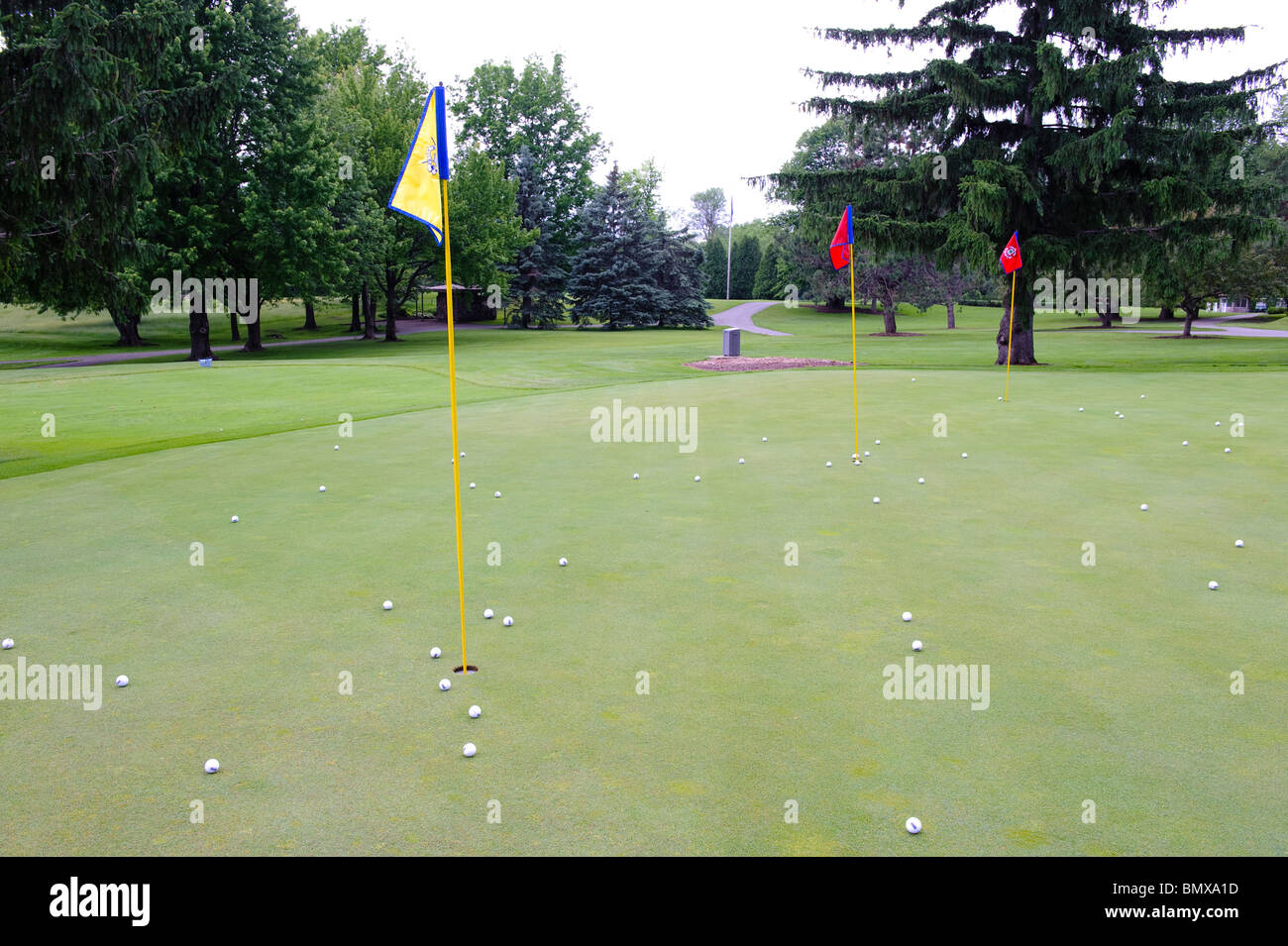 Practice green on a golf course Stock Photo - Alamy