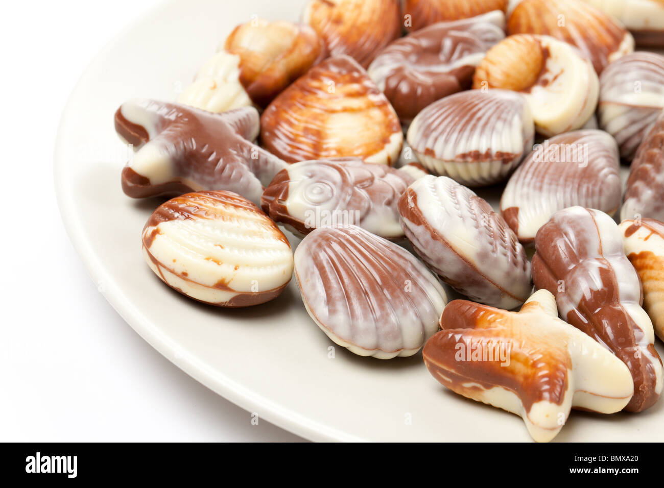 chocolate seashells on white background Stock Photo - Alamy