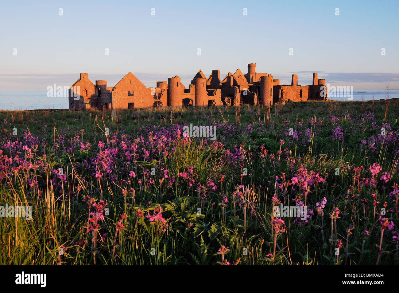Slains castle hi-res stock photography and images - Alamy