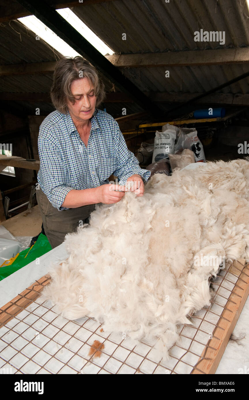 Clipped hair hi-res stock photography and images - Alamy