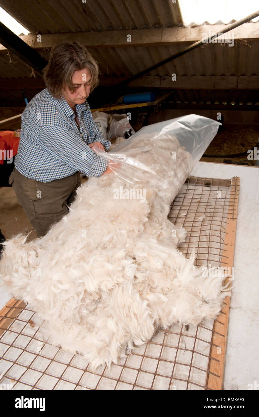 Wool fleece bag hi-res stock photography and images - Alamy