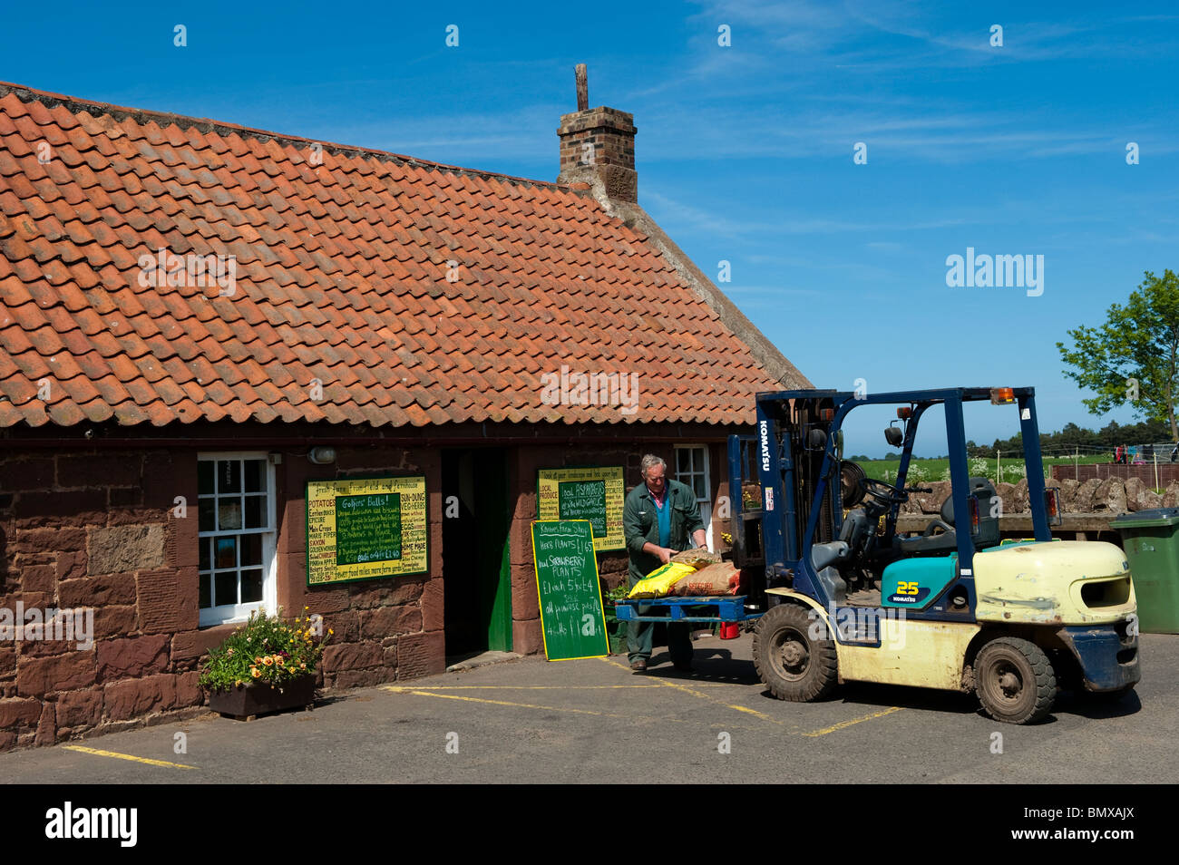 Farmer supplying farm shop with bags of potatoes. Dunbar, Scotland ...