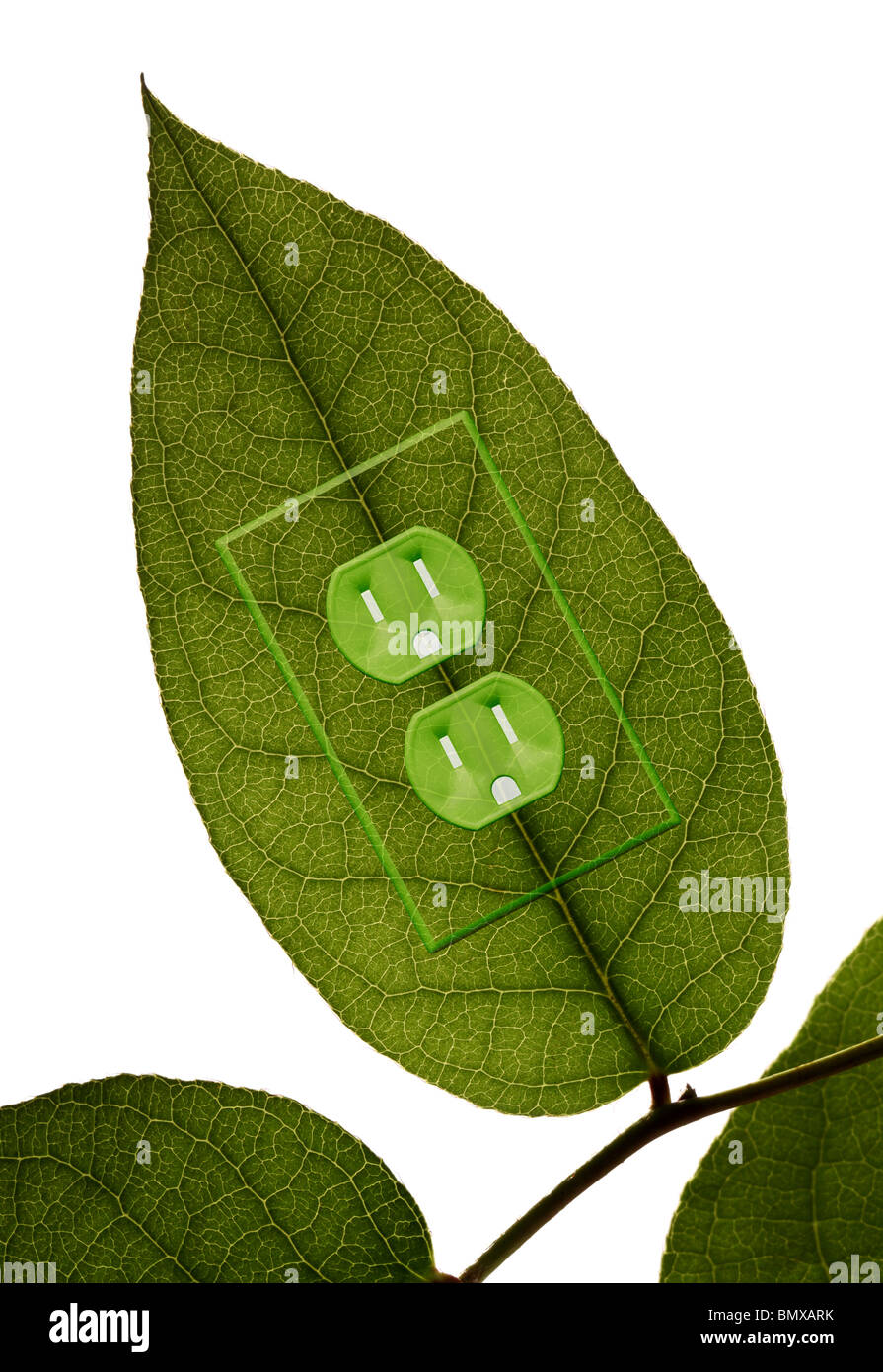 A green plant leaf with an electrical power outlet Stock Photo - Alamy