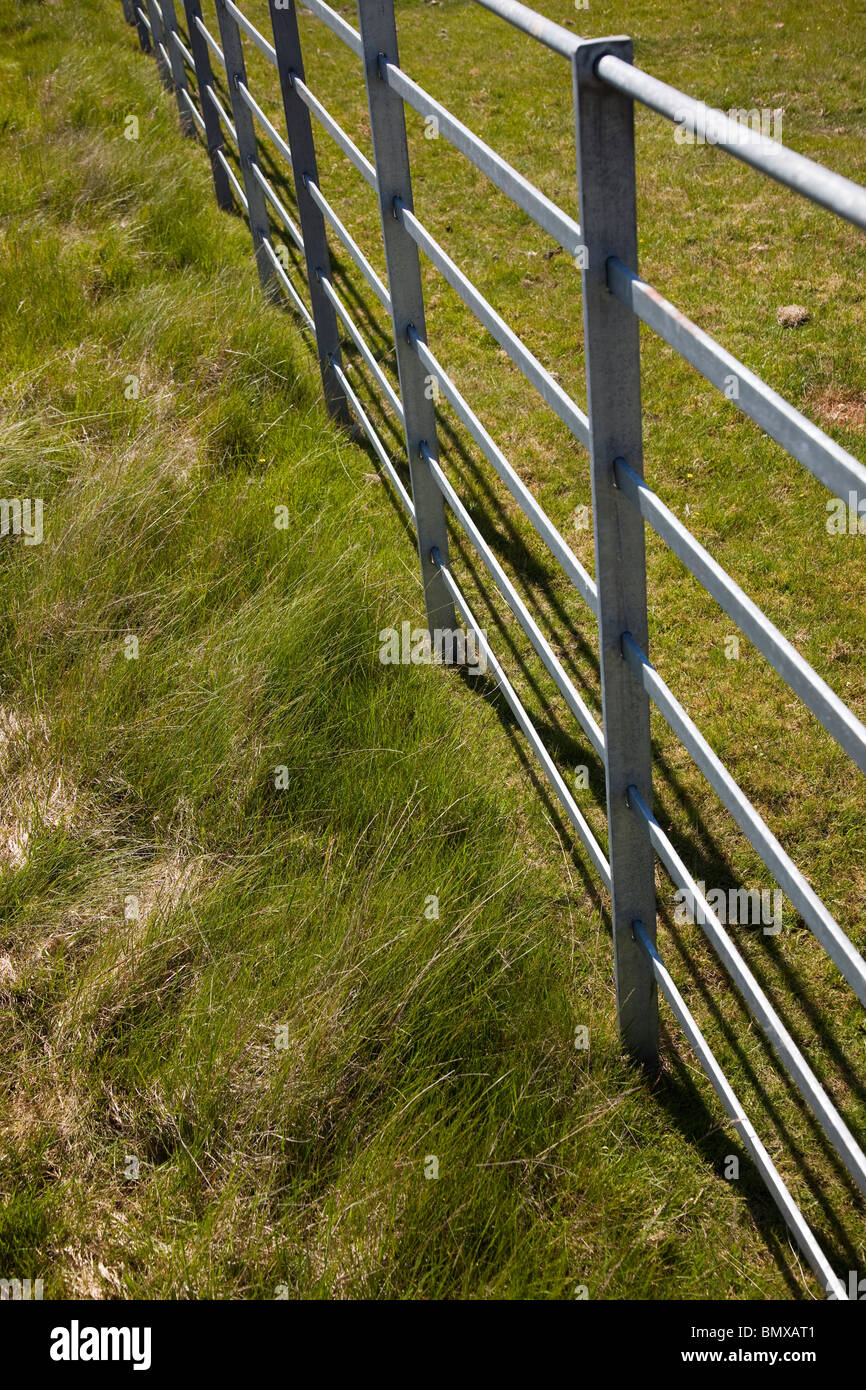 Grazed hi-res stock photography and images - Alamy