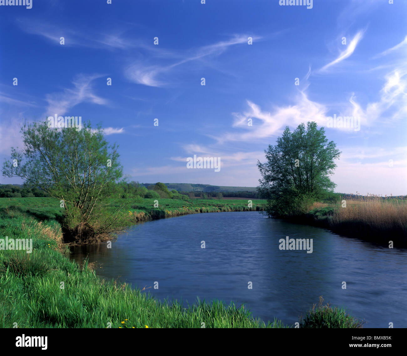 River arun summer hi-res stock photography and images - Alamy