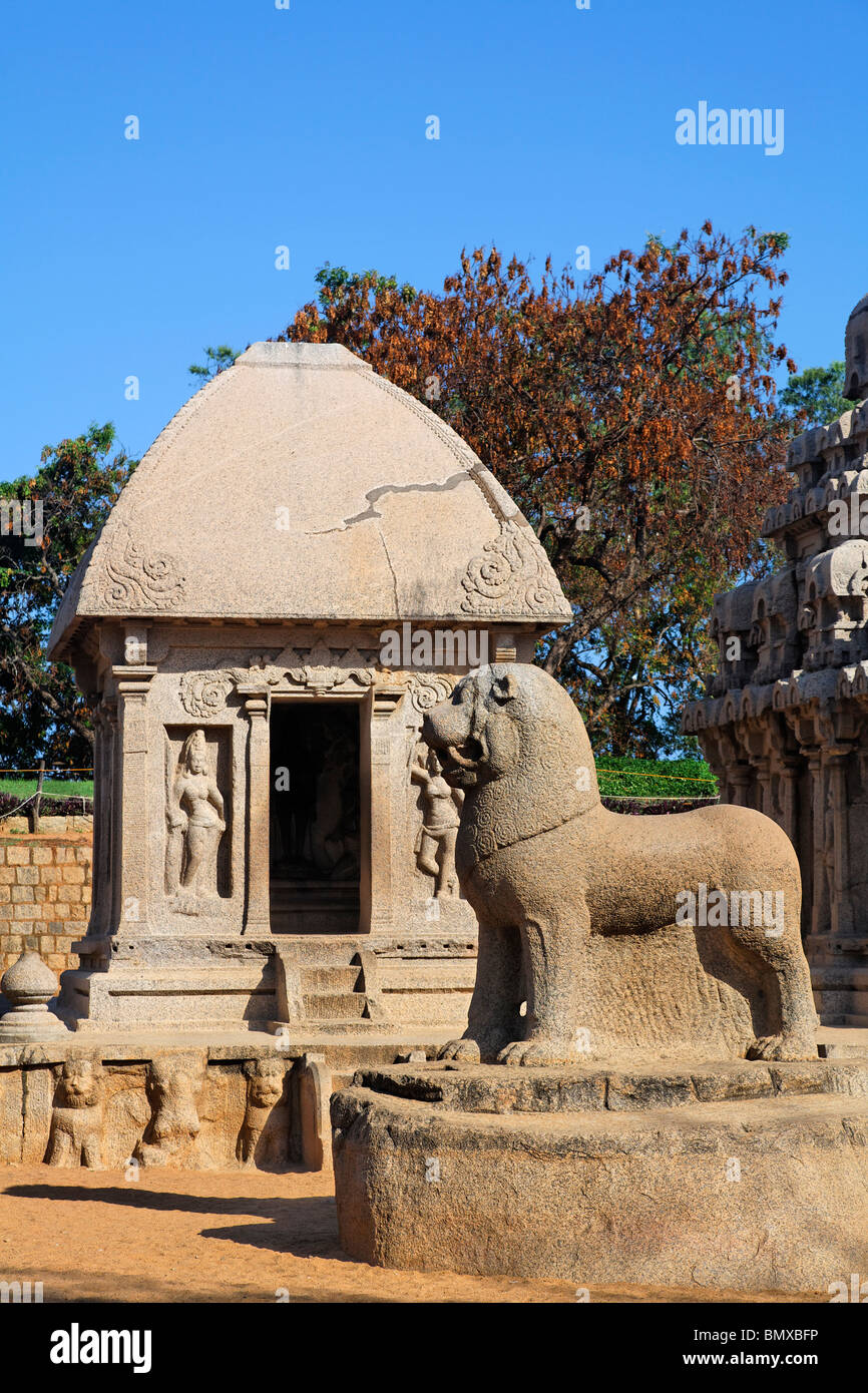 Lion statue at the Pancha Pandava Rathas, Mamallapuram, Tamil Nadu ...
