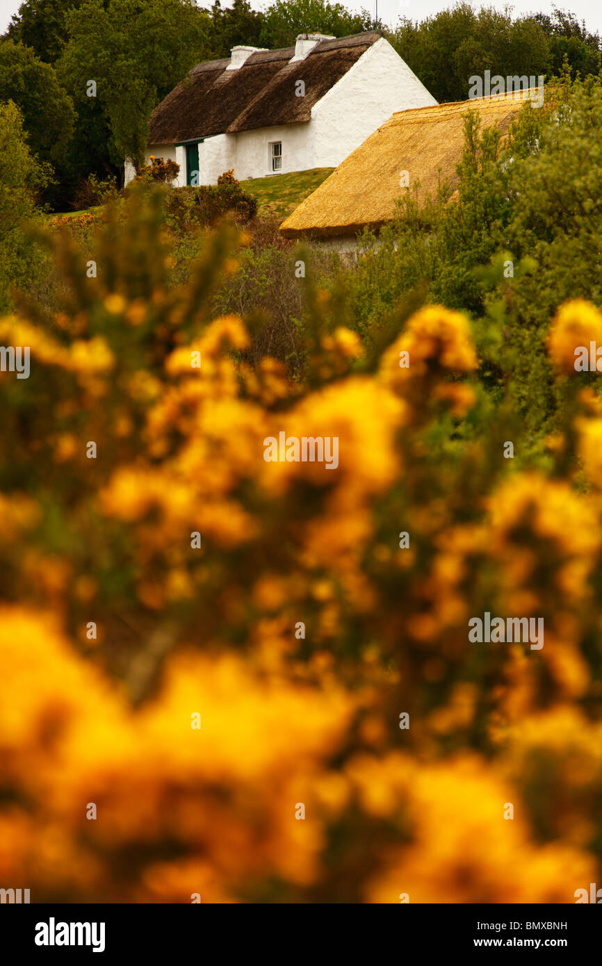 Rosmuc hi-res stock photography and images - Alamy