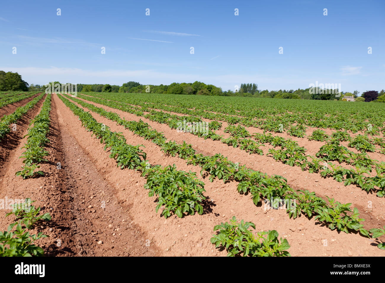 Deep furrows hi-res stock photography and images - Alamy