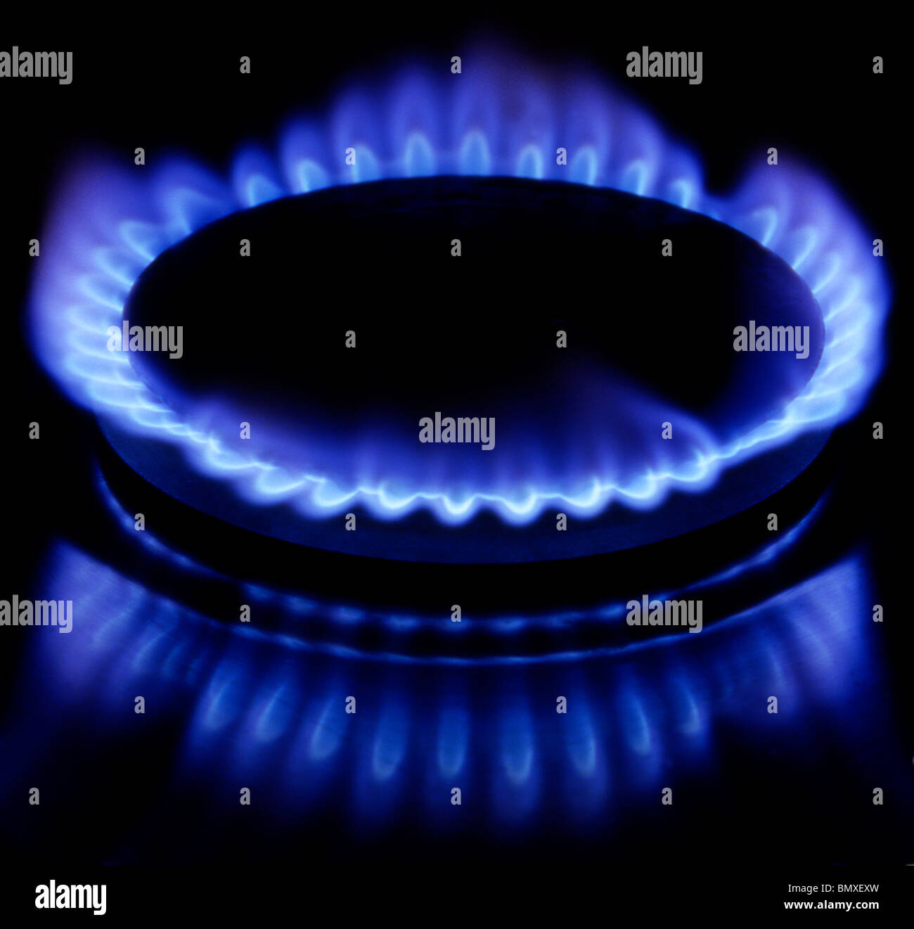 Burning gas of a kitchen range Stock Photo - Alamy