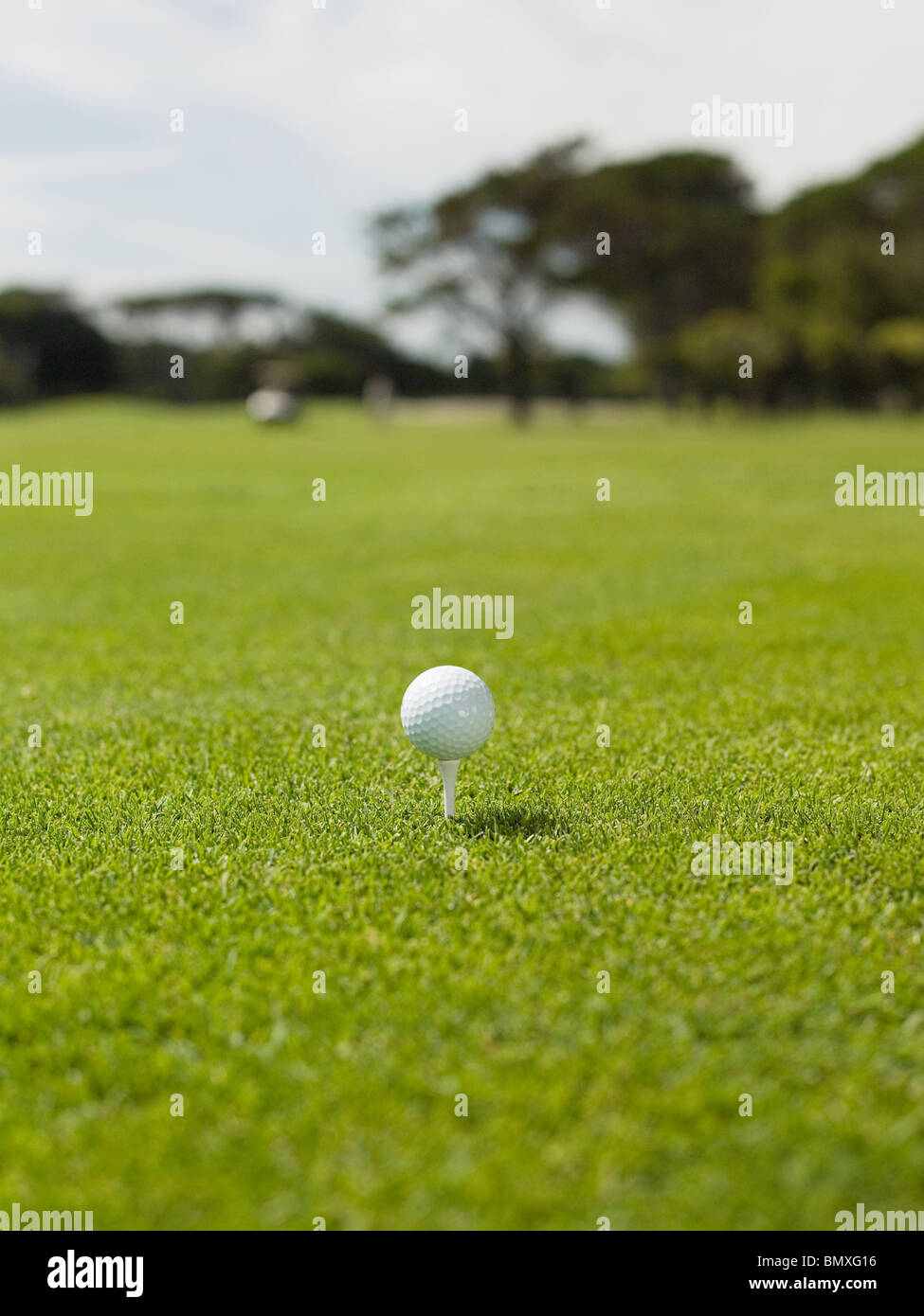 Golf ball on golf course, close up Stock Photo - Alamy